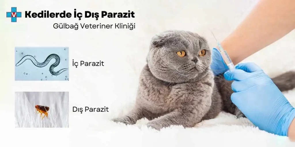 İç Dış Parazit Aşısı » Kedi ve Köpek » Gülbağ Vet.